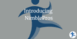 All posts | NimblePros Blog